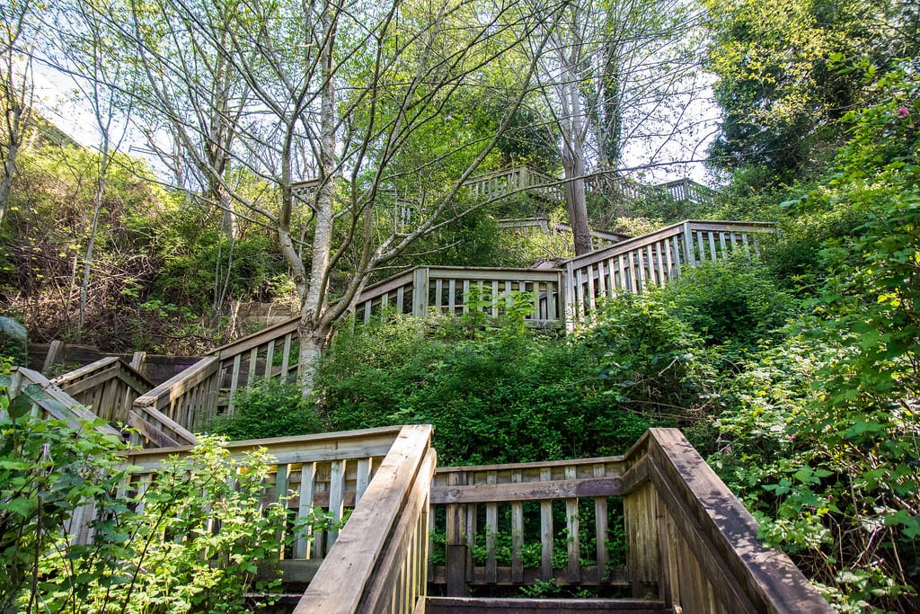 1001 Steps Park Is Back And Better Than Ever After Major Upgrades ...