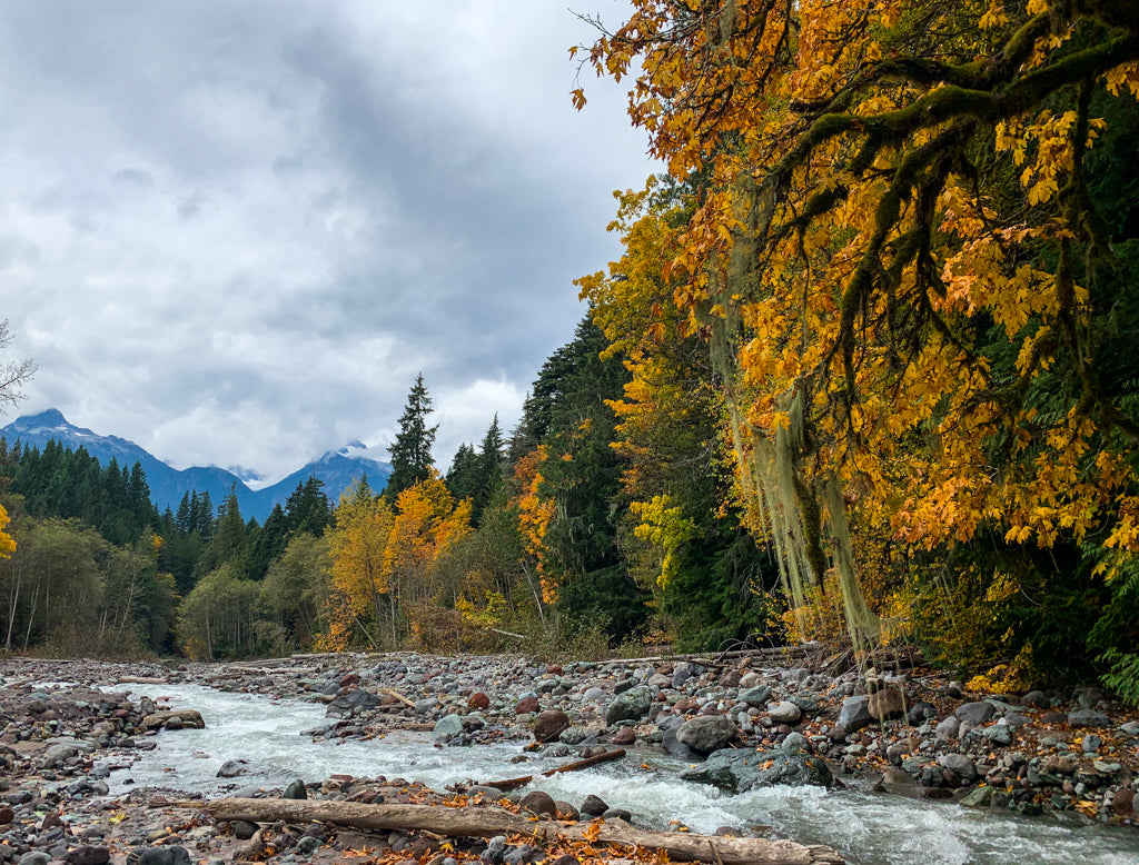 7 MORE GORGEOUS VANCOUVER HIKES FOR FALL COLOURS – STRUB Activewear