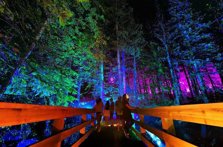 VALLEA LUMINA WHISTLER 2019 – STRUB Activewear