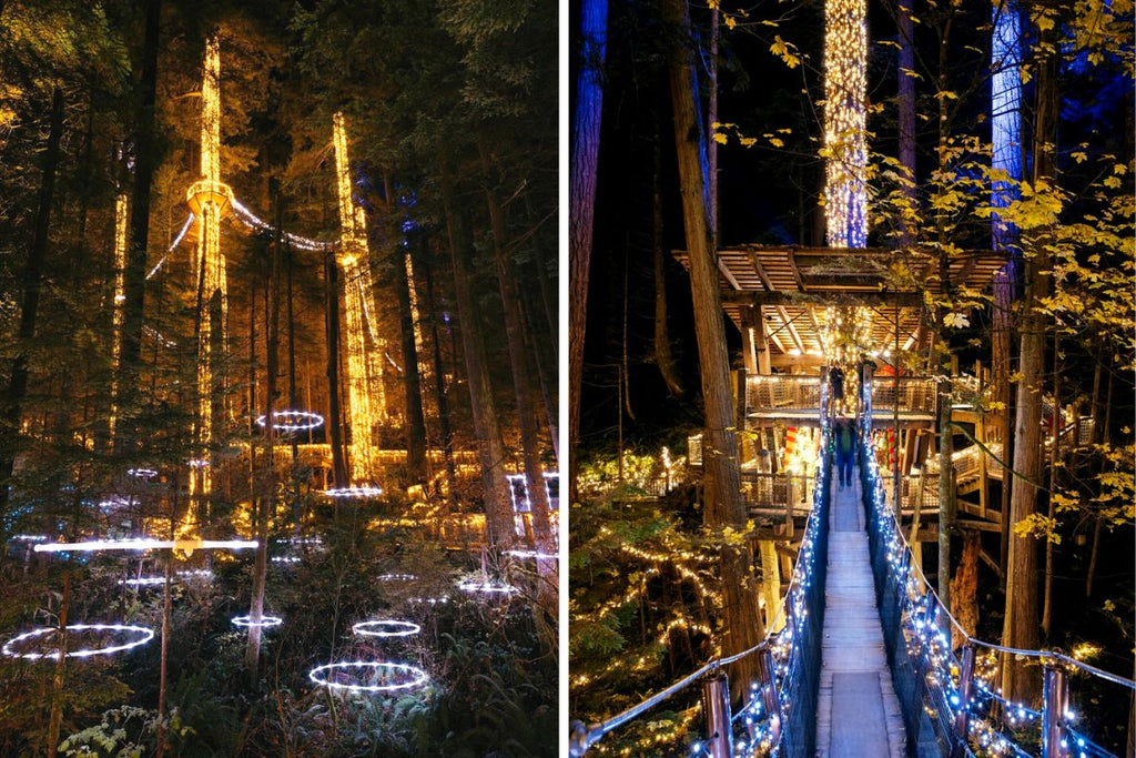 12 PLACES WITH DAZZLING CHRISTMAS LIGHT DISPLAYS IN METRO VANCOUVER ...