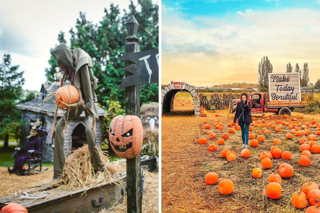 Richmond Country Farms 2023 – STRUB Activewear